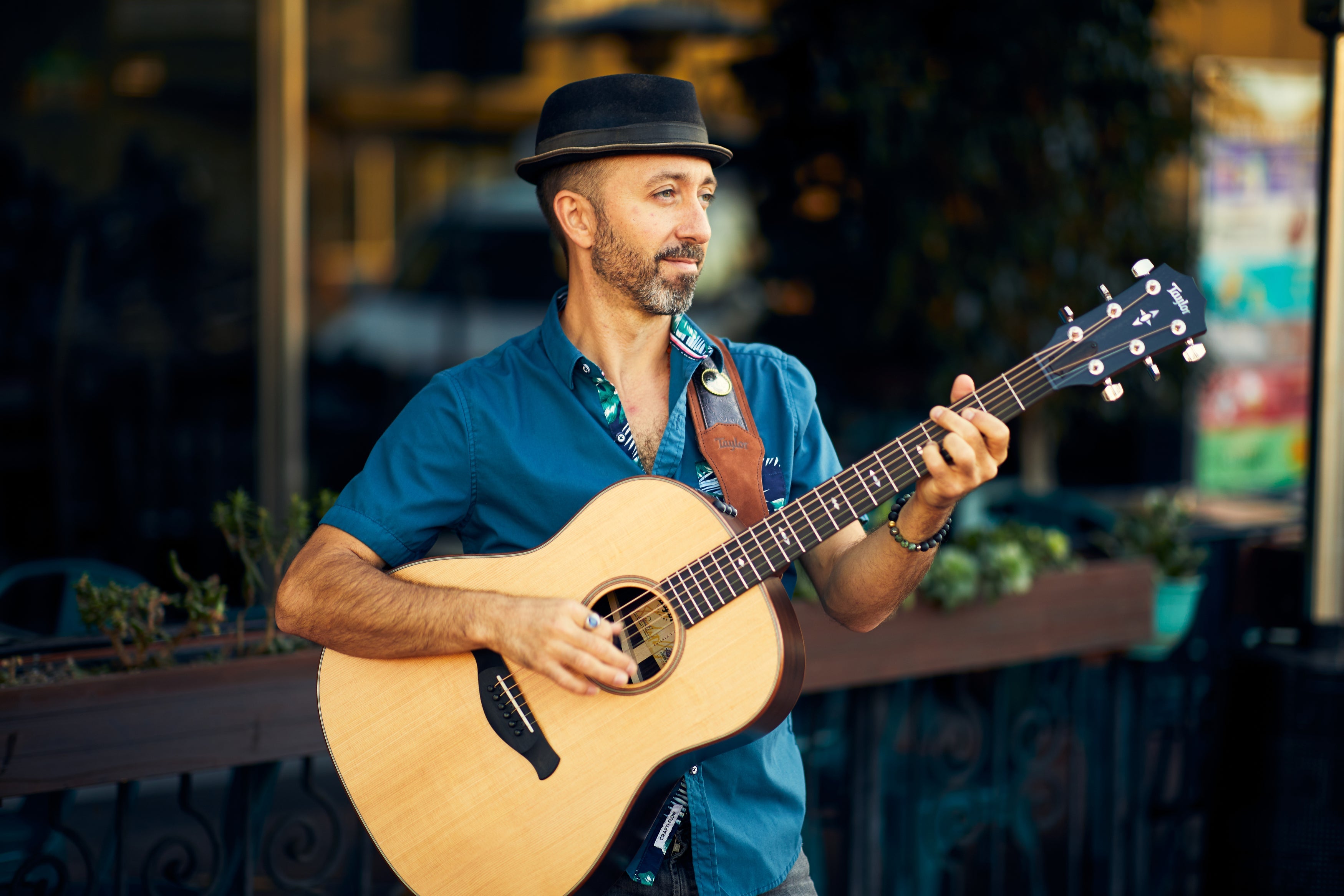 Taylor 700 Series – Haggerty's Music Inc